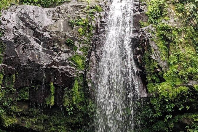 Waterfall Curtain Hidden Rainforest Gem Las Cascadas Delicias - FAQs