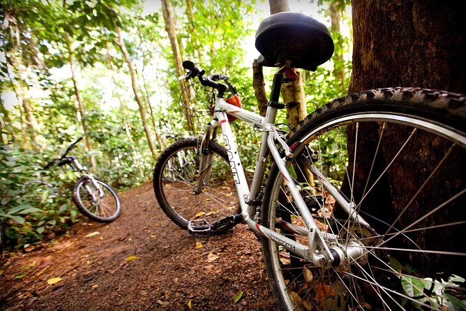 Waterfall Cycling Adventure In St. Lucia - Final Thoughts