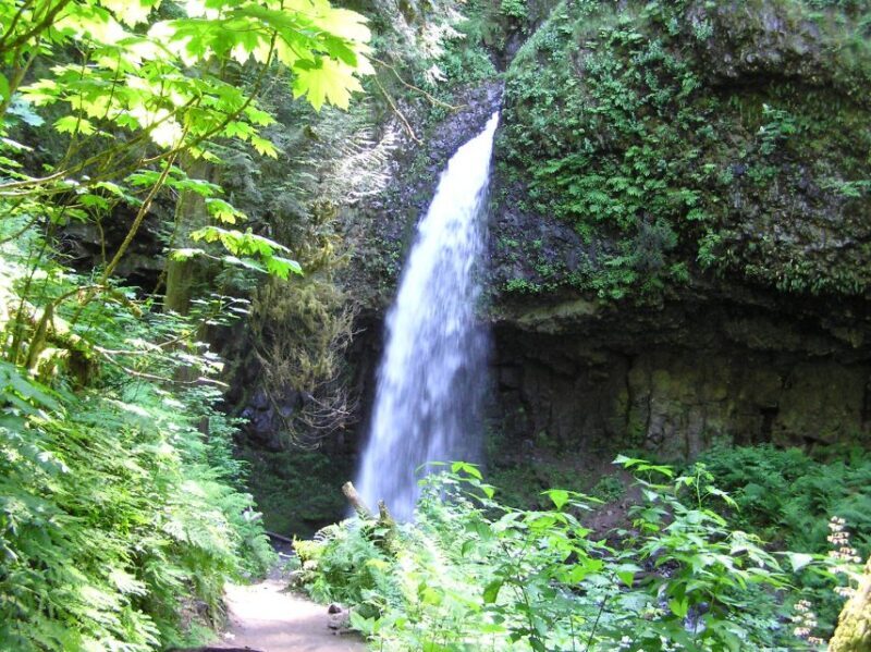 Waterfall Express -PDX: Waterfall Trolley Tickets + Transfer - Waterfall Express -PDX: Waterfall Trolley Tickets + Transfer