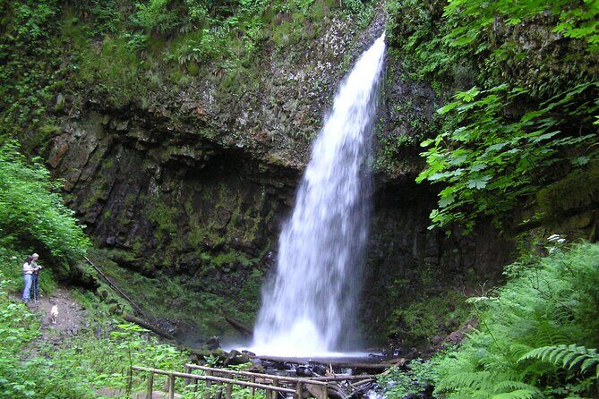 Waterfall Express Tour -Transportation to Waterfall Trolley PDX07 - Final Thoughts: Who Will Love This Tour?