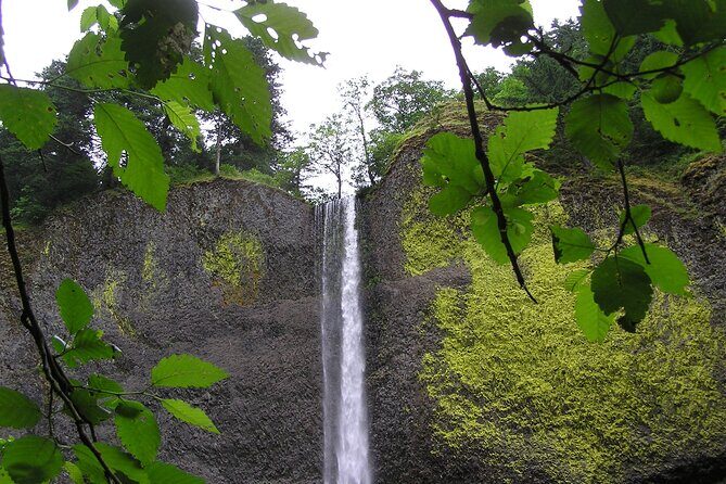 Waterfall Express Tour -Transportation to Waterfall Trolley PDX07 - FAQ