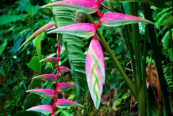 Waterfall, First One On The Road to Hana, Chocolate tour - FAQs