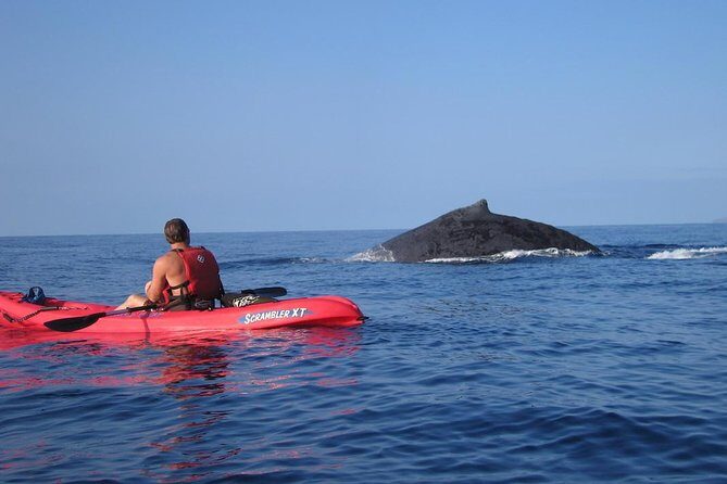 Waterfall Hike and Kayak Snorkel & Paddle from Makena - Final Thoughts: Who Should Consider This Tour?