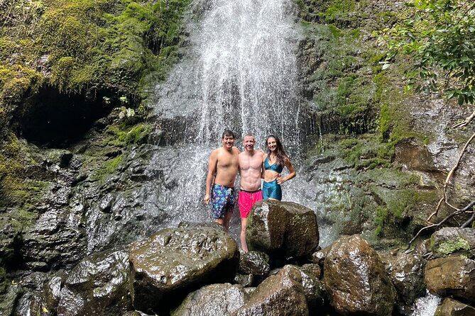 Waterfall Hike in Hawaii - Private Transportation/Group - The Itinerary in Detail