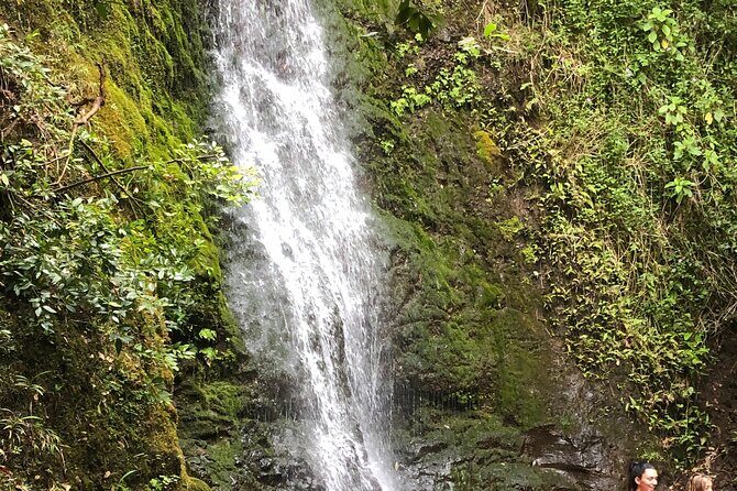 Waterfall Hike , Sightseeing & East Side Beach Day - Key Points