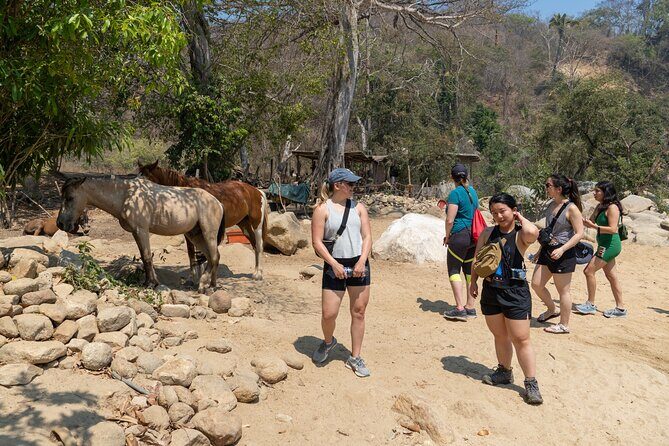 Waterfall in the jungle of Puerto Vallarta - Final Words: Is It Worth It?
