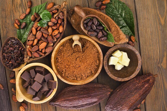 Waterfall, Rainforest, Chocolate Tour & Historical Sites - Introduction: What’s on Offer?
