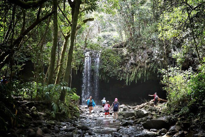 Waterfall & Rainforest Hiking Adventure with Hotel Pickup - Final Thoughts