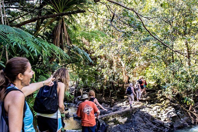 Waterfall & Rainforest Hiking Adventure with Hotel Pickup - FAQ