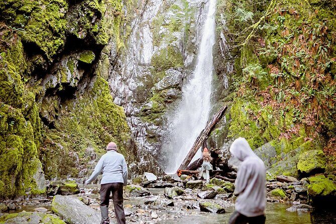 Waterfall, Skywalk, Lagoon Picnic, Castle and Whales in Victoria - What Makes This Tour Special