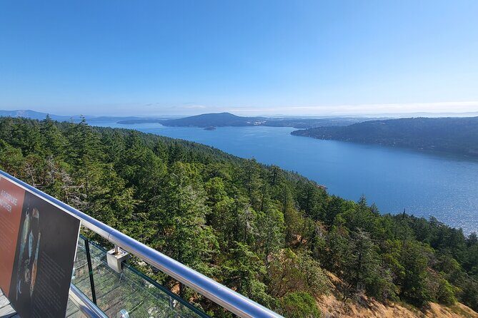 Waterfall, Skywalk, Lagoon Picnic, Castle and Whales in Victoria - Practical Tips for Travelers
