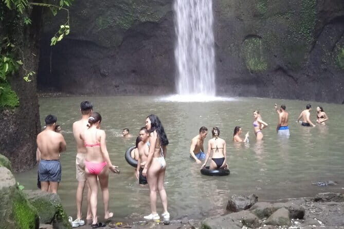 Waterfall Tour - Best and Popular in Bali - All Inclusive - An In-Depth Look at the Waterfall Tour Experience