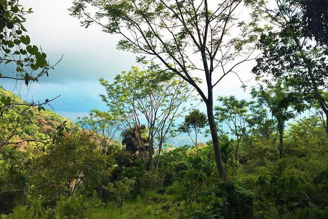 Waterfall Walk from Ella - The Sum Up