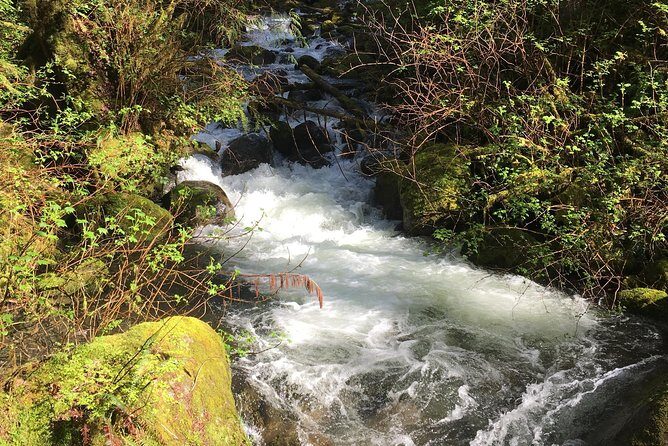 Waterfall Wonderland Hike with Transport - The Value of the Experience