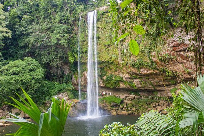 Waterfalls Agua Azul and Misol-ha - Insights from Reviewers
