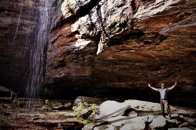 Waterfalls and Blue Ridge Parkway Hiking Tour with Expert Naturalist - An In-Depth Look at the Experience