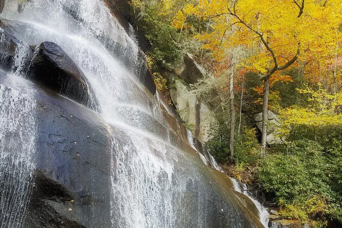 Waterfalls and Blue Ridge Parkway Hiking Tour with Expert Naturalist - The Sum Up