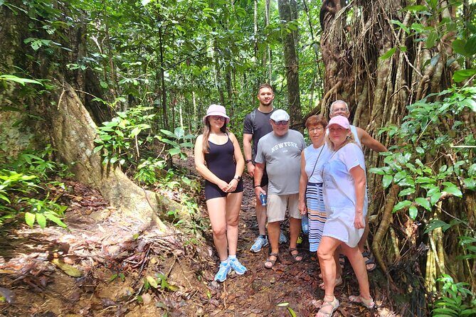 Waterfalls and Bushwalk Eco Adventure - How the Tour Is Structured