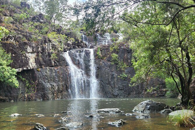 Waterfalls and Bushwalk Eco Adventure - Who Should Consider This Tour?