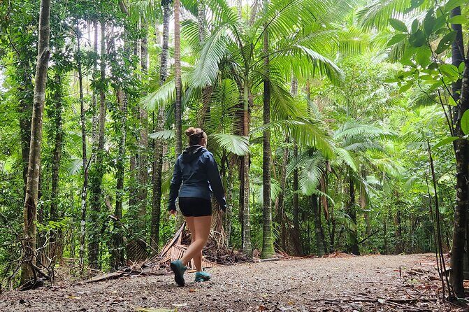 Waterfalls and Bushwalk Eco Adventure - FAQs