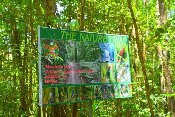 Waterfalls and Nature Tour - Exploring Fiji’s Rainforest: A Practical Breakdown