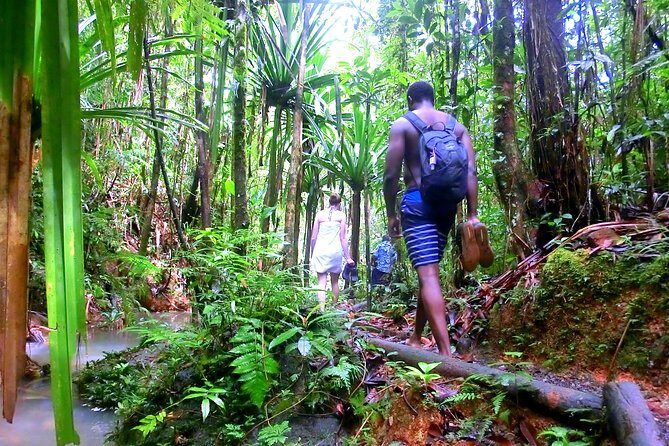 Waterfalls and Nature Tour - Frequently Asked Questions