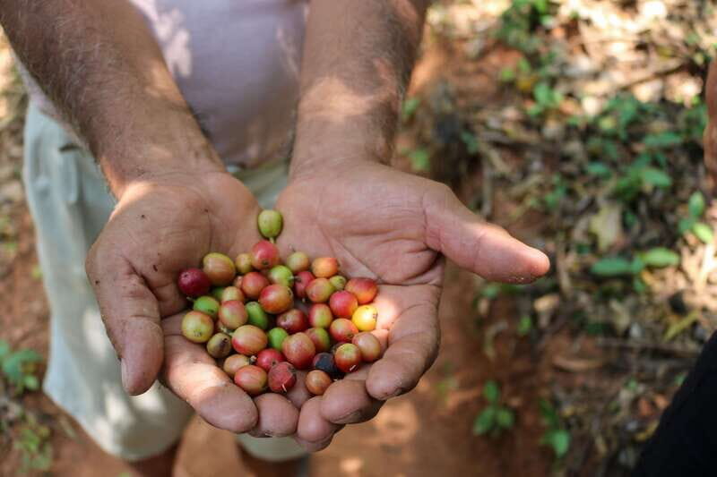 Waterfalls, Coffee and Adventure Tour, Huatulco - Final Thoughts: Who Should Consider This Tour?