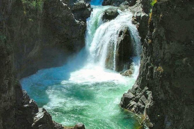 Waterfalls, Coombs and Cathedral Grove Rainforest Tour - Exploring Vancouver Island’s Scenic Highlights