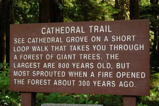 Waterfalls, Coombs and Cathedral Grove Rainforest Tour - What Visitors Say