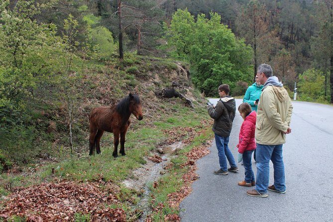 Waterfalls, Heritage and Nature in Gerês Park - from Porto - FAQs