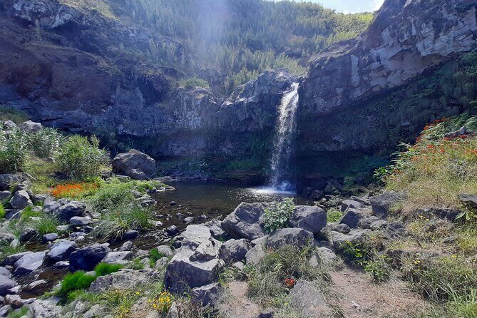 Waterfalls Hike, Moinho do Felix with tea plantation - Why You Should Consider This Tour