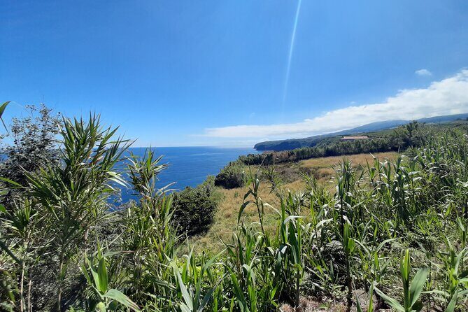 Waterfalls Hike, Moinho do Felix with tea plantation - FAQs