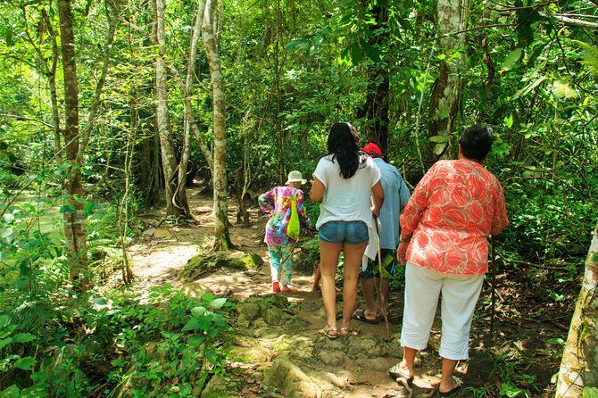 Waterfalls & Nature Day-Trip Experience - FAQ