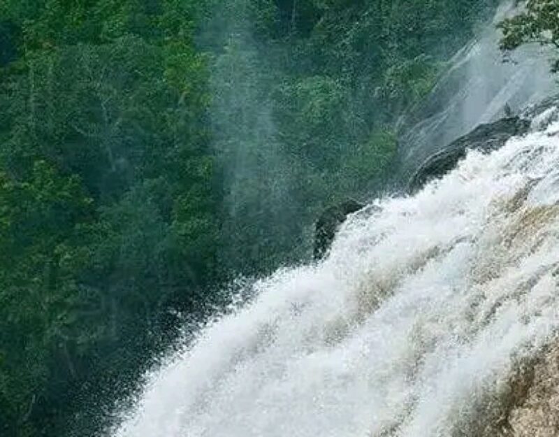 Waterfalls of Athirapply or Areekal Tour: Niagra of S. India - What to Expect Inside the Tour