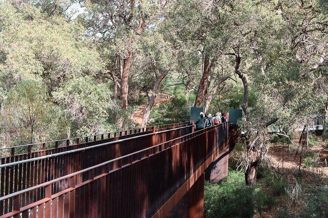 Waterfalls, Wildflowers & Wandoo Hiking Experience - Why Choose This Experience?