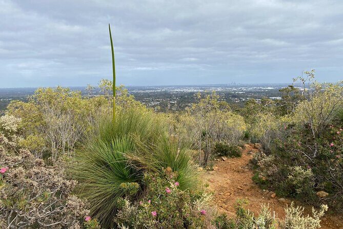 Waterfalls, Wildflowers & Wandoo Hiking Experience - The Sum Up