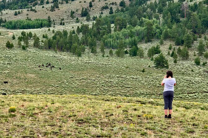 Waterpocket Fold and Henry Mountains Bison Offroad Safari - Final Thoughts: Who Will Love This Tour?