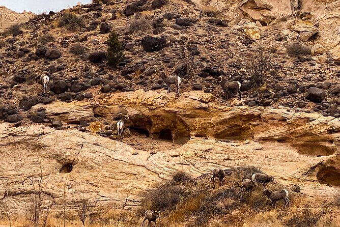 Waterpocket Fold Offroad Tour to Strike Valley Overlook - FAQ