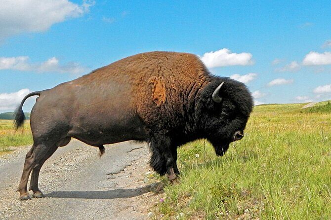 Waterton Lakes National Park Private Adventure - An In-Depth Look at the Waterton Lakes Private Tour
