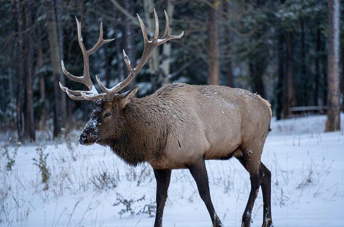 Waterton Lakes National Park Private Adventure - FAQ