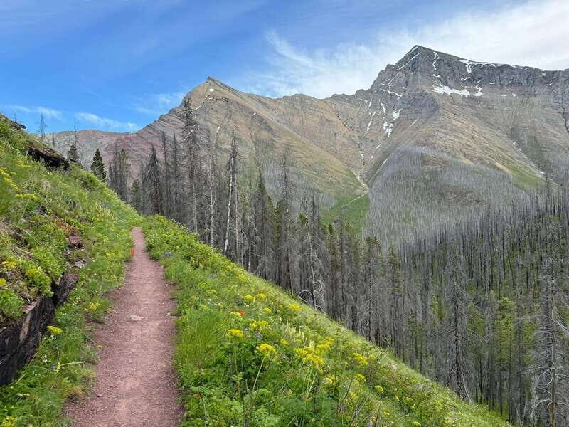 Waterton Lakes National Park: Upper Rowe Lakes Hike - What Makes the Upper Rowe Lakes Hike Special?