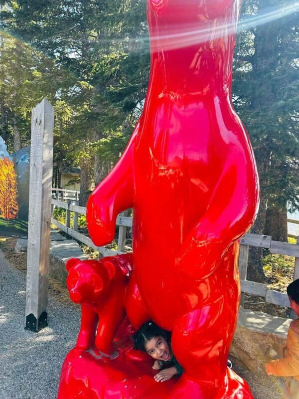 Waterton National Park Adventure Day tour from Calgary - Final Thoughts