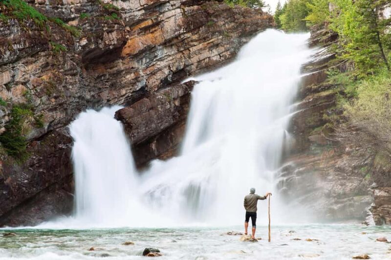 Waterton National Park and Bison Safari Tour with Picnic - The Sum Up