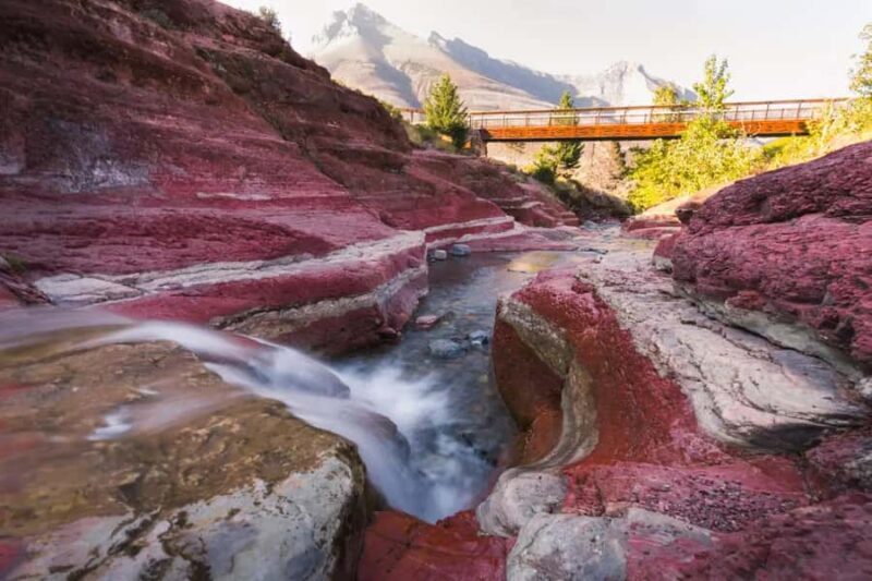 Waterton National Park and Bison Safari Tour with Picnic - FAQ