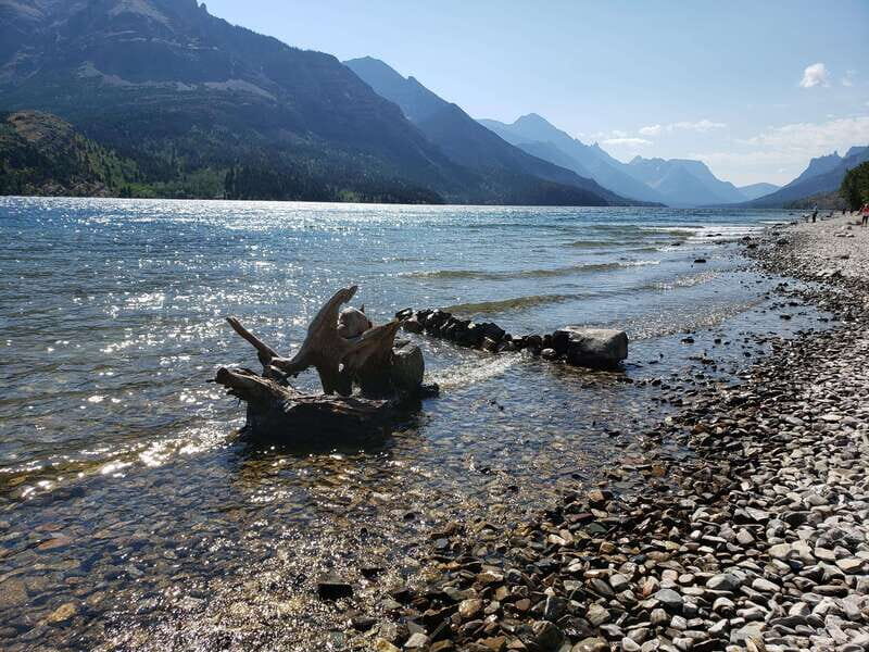 Waterton National Park Full-Day Private Tour From Calgary - Who Is This Tour Best For?