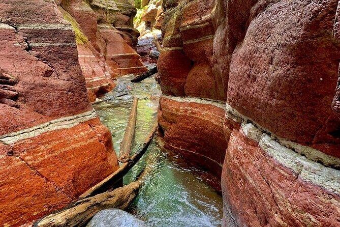 Waterton National Park Premium Day Tour - Key Points