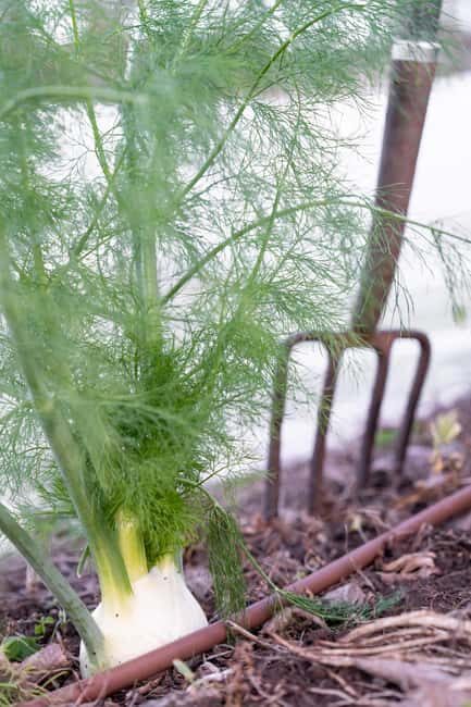 Watervale: Penobscot Farm Tour with Chef and 5-Course Lunch - Final Thoughts