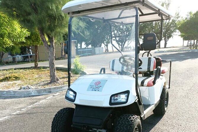 Watkins UTV American Golf Cart Rentals - Exploring Watkins UTV American Golf Cart Rentals in Grand Turk: A Practical Review