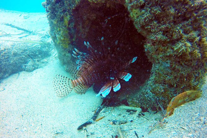 Wave Break Island Scuba Diving on the Gold Coast - FAQ