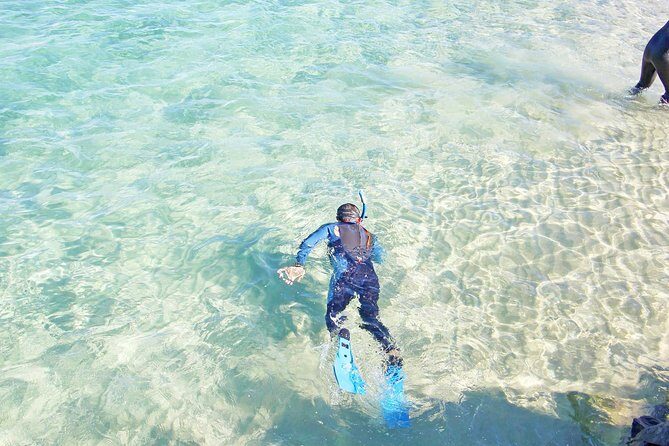 Wave Break Island Snorkel Tour on the Gold Coast - The Snorkeling Experience and Marine Life